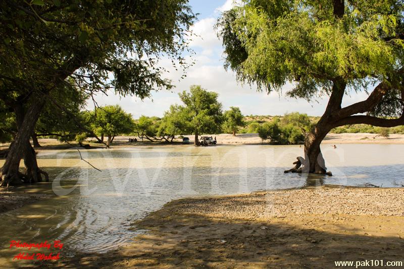 Photo Tour Of Pabuhar, A Little Village Outside Mithi And Naukot Sindh ...