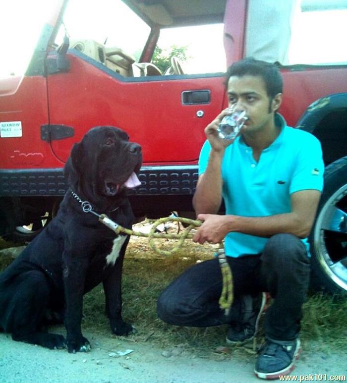 Celebrities > Actors (TV) > Ahmad Hassan > Photos > Ahmad Hassan ...