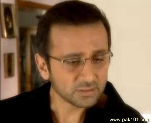 Gallery > Actors > Faisal Rehman > Faisal Rehman high quality! Free ...