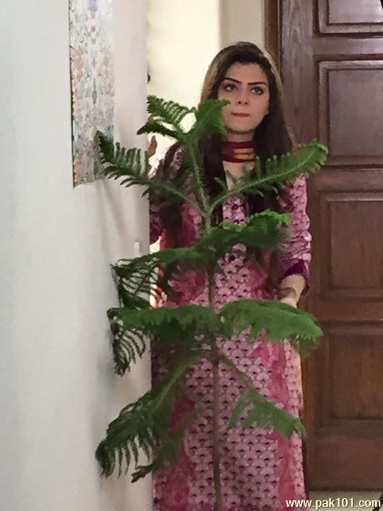 Gallery > Actresses(Tv) > Rida Isfahani > Rida Isfahani -Pakistani ...