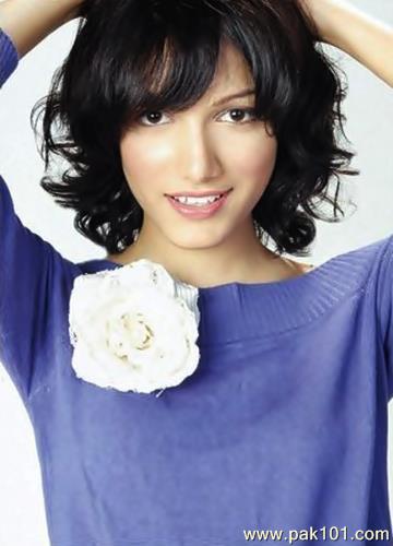 Gallery > Models (Female) > Meera Ansari > Meera Ansari high quality ...