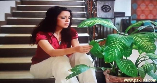 Gallery > Models (Female) > Shazia Naz > Shazia Naz -Pakistani Female ...