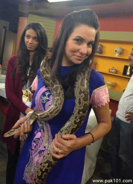 Gallery > Singers > Muskan Khan > Muskan Khan high quality! Free ...