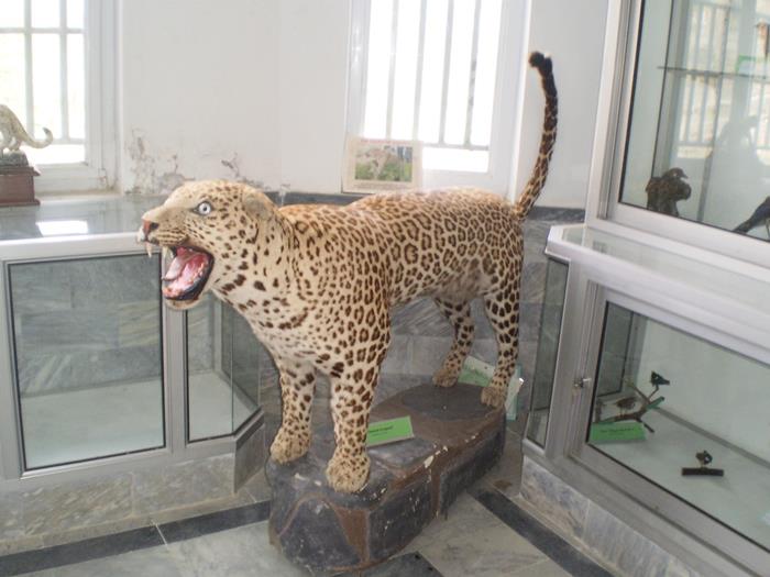 Photo - Wildlife Information Center Ayubia National Park, Donga Gali by ...