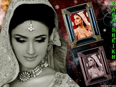 Wallpapers > Female Models > Zara Sheikh > Zara Sheikh high quality! Free download 1024x768 ...