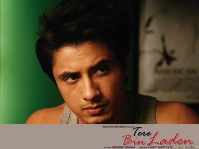 Ali Zafar Wallpapers Free Download